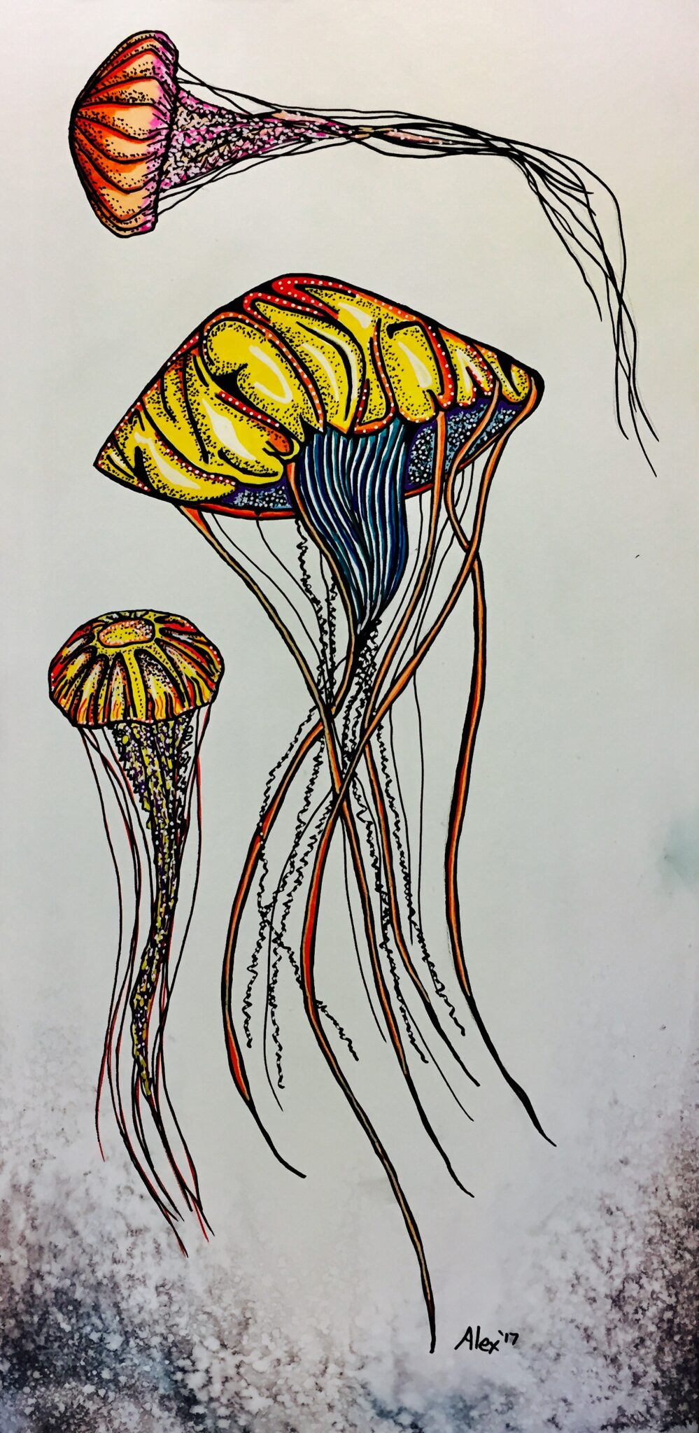 Fish Art | Alex Williams Art